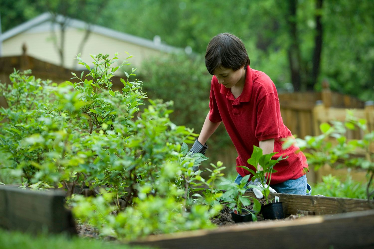 Student garden fosters care for creation - The Catholic Sun